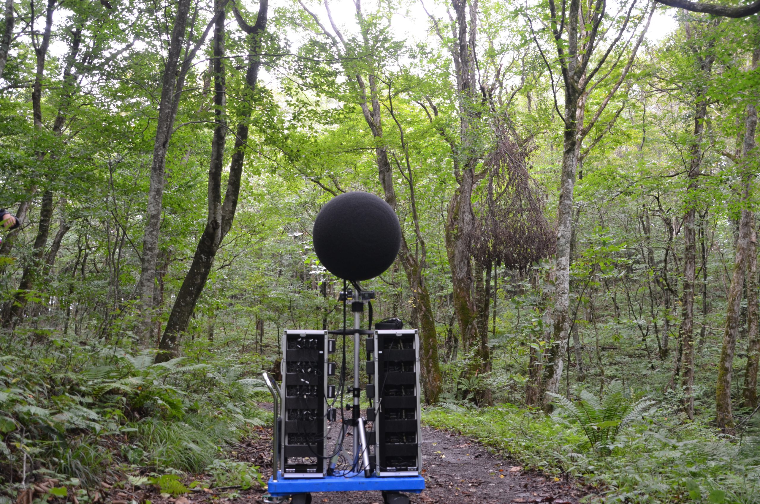 BoSC Portal – Create 3D Sound Field.